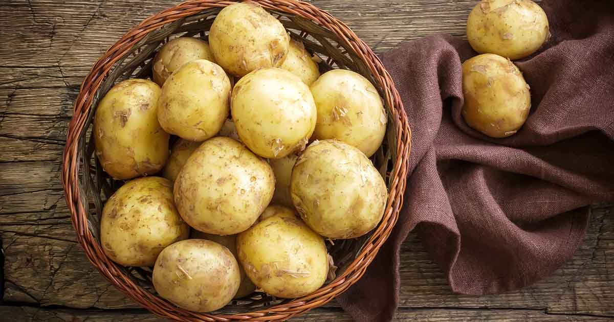 Fransk potatissallad till sommarens grillmiddagar | Seniordeal.se